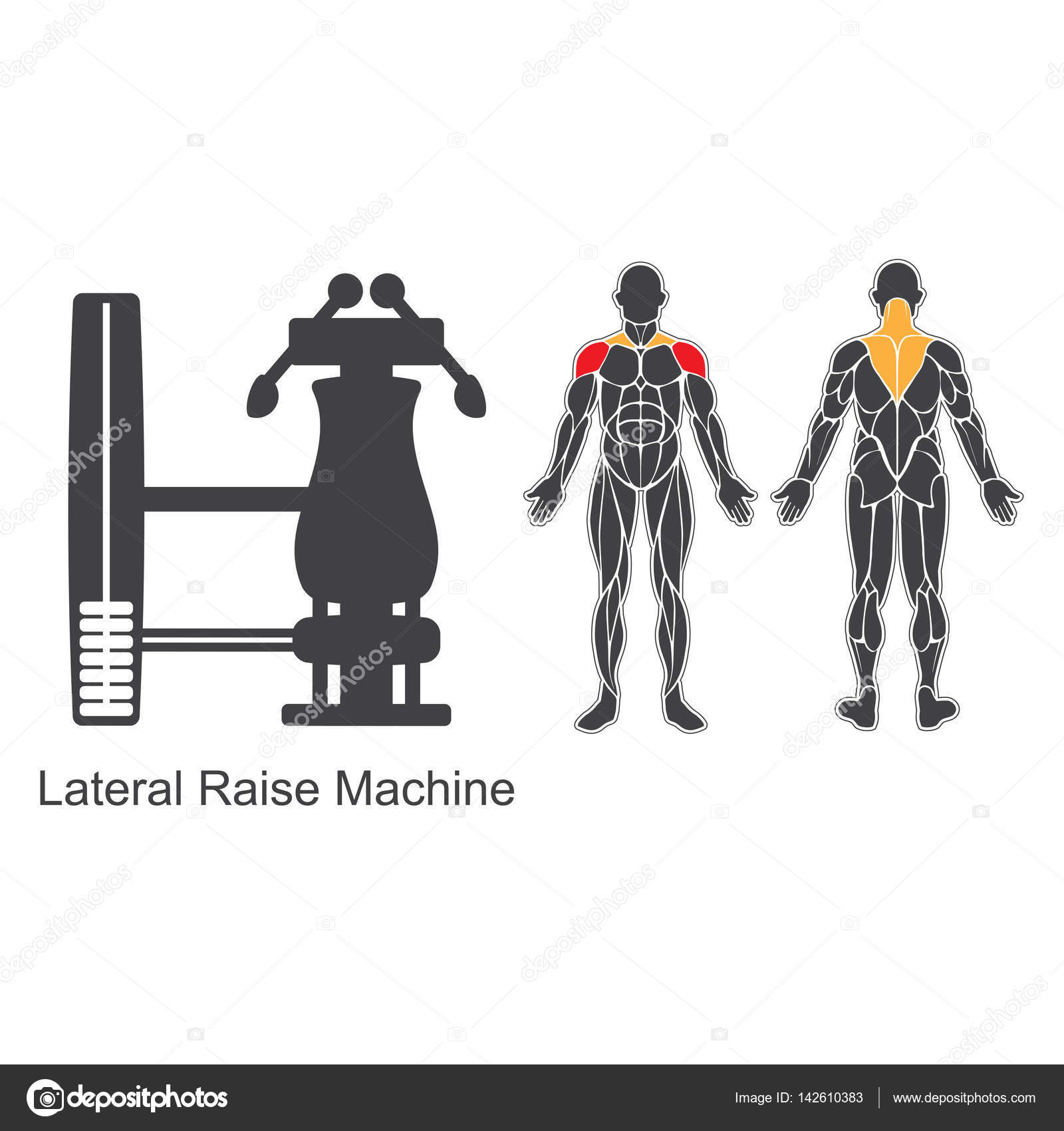 Gym lateral raise machine Stock Vector Image by ©longquattro #142610383