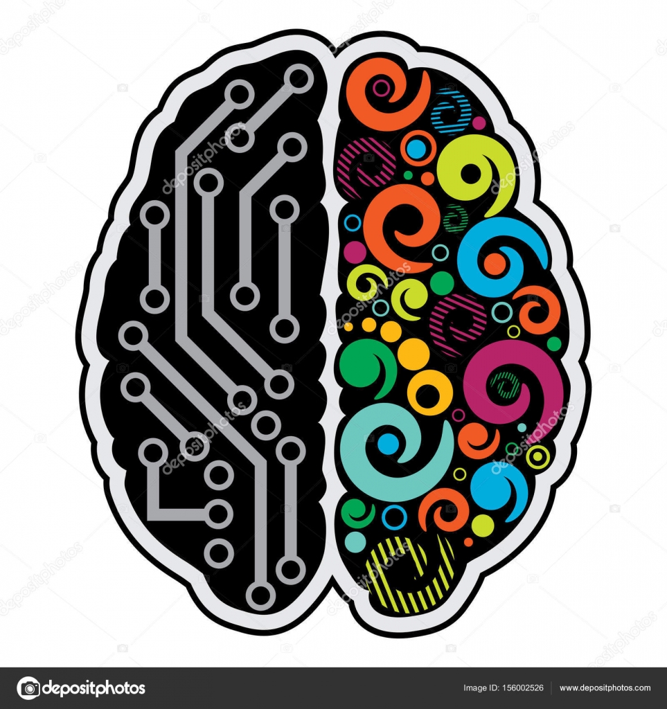 Human brain background Stock Vector Image by ©longquattro #156002526