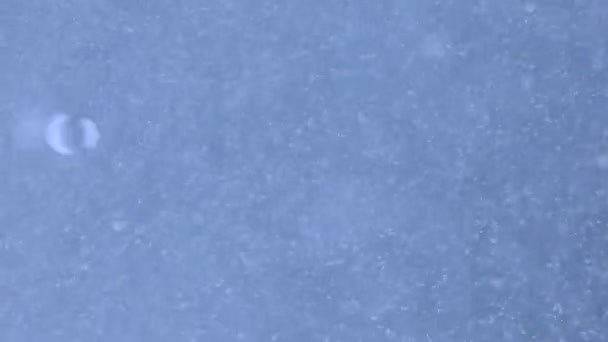 Boiling hot water bubbles abstraction backdrop — Stock Video © dimabl ...