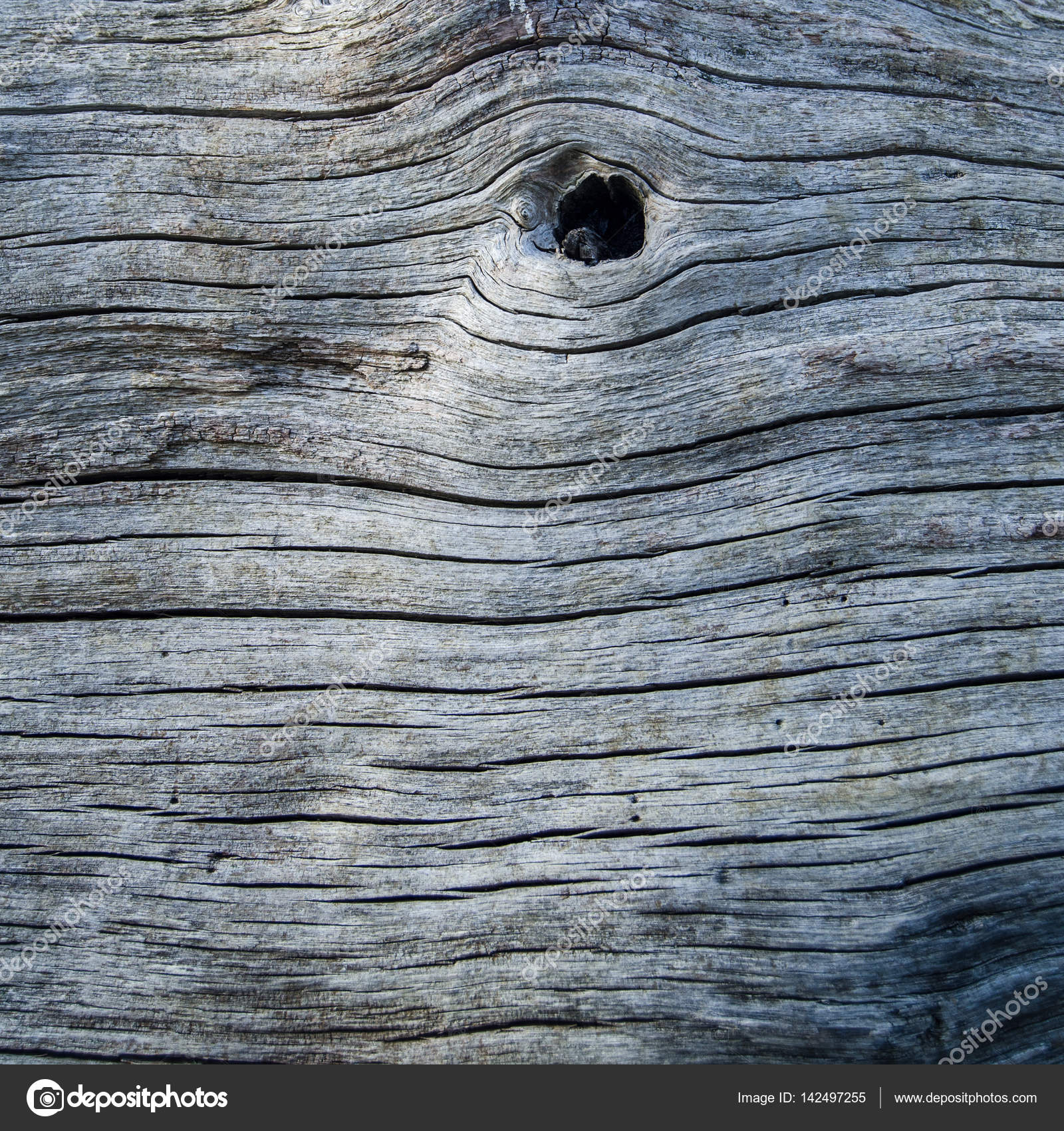 Wood Texture With Knot Stock Photo by ©mrdoomits 142497255