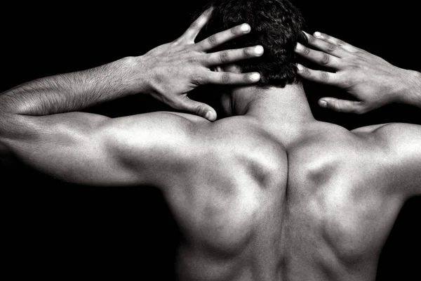 Sexy Male Muscular Lean Back Posing Fashion Dark Background Stock Photo ...