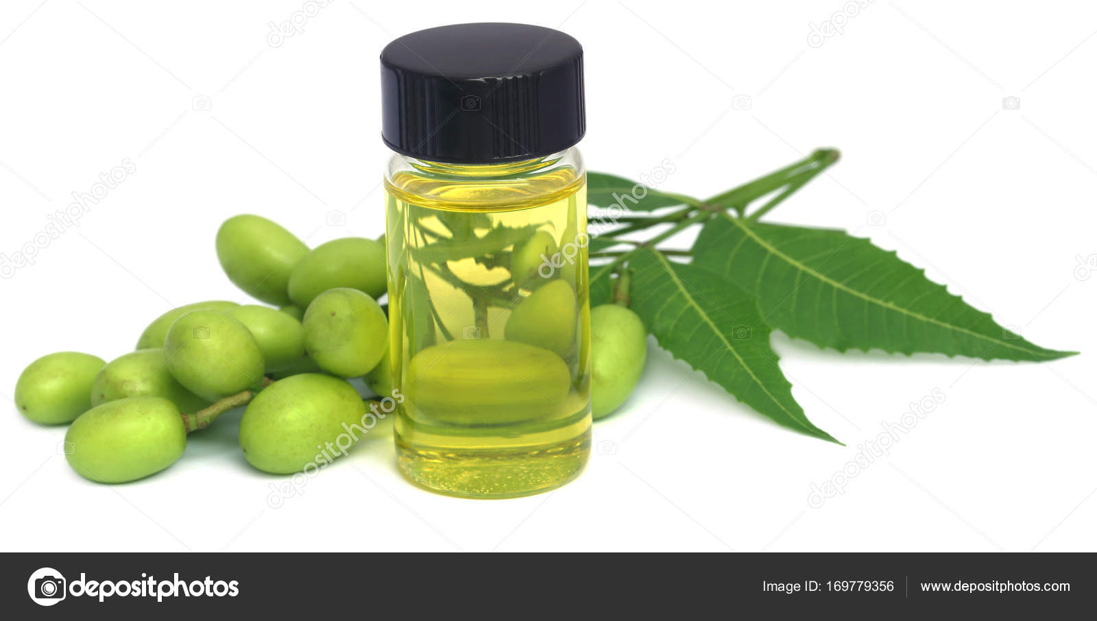 Medicinal neem extract Stock Photo by ©bdspn74 169779356