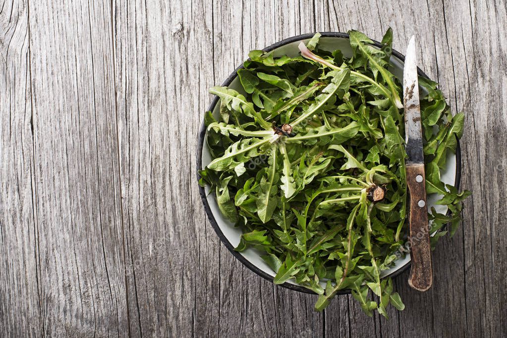 Hojas de lechuga de diente de león 2024