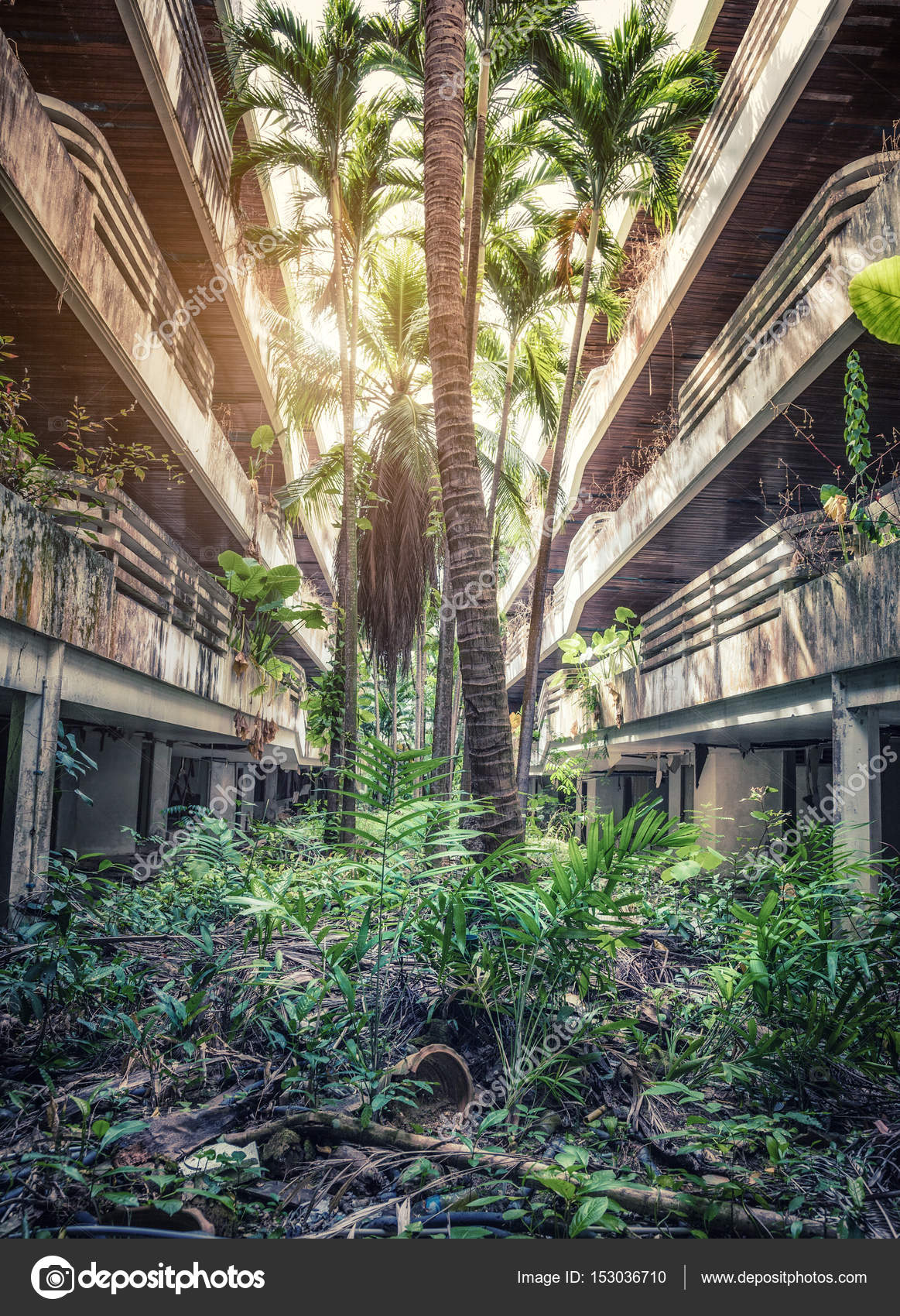 Overgrown Skyscraper