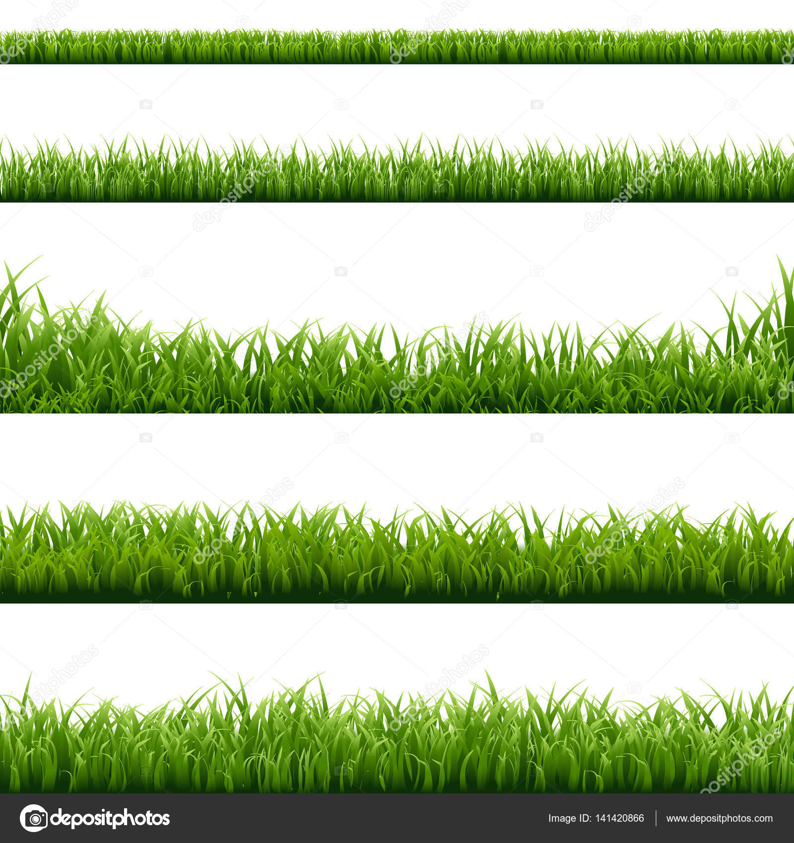 Set of Green Grass Borders Stock Vector Image by ©adamson #141420866