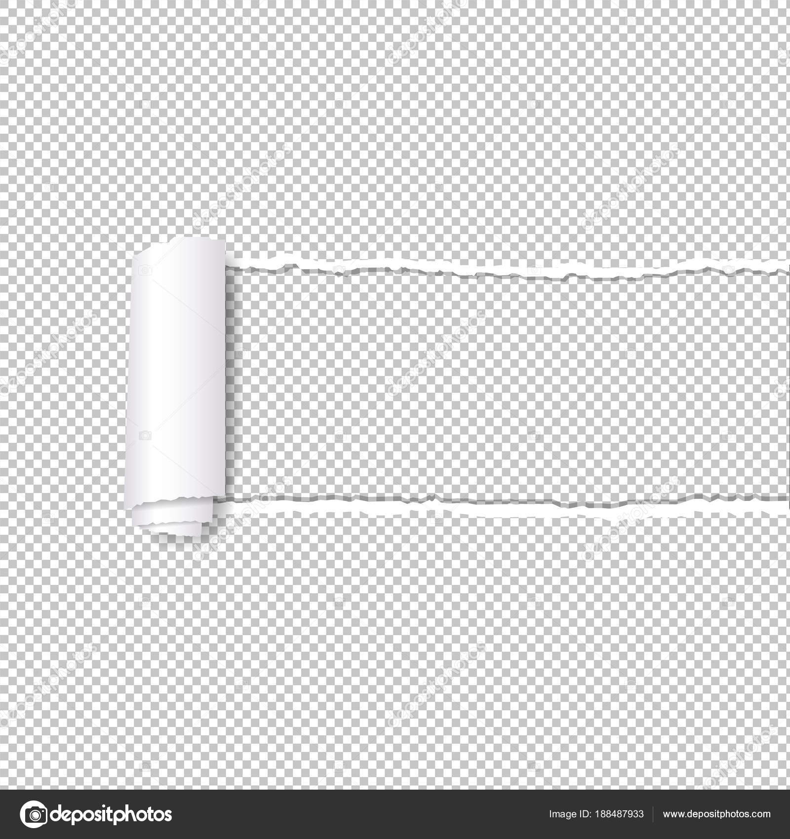 Torn Paper Edge Transparent Background Gradient Mesh Vector ...