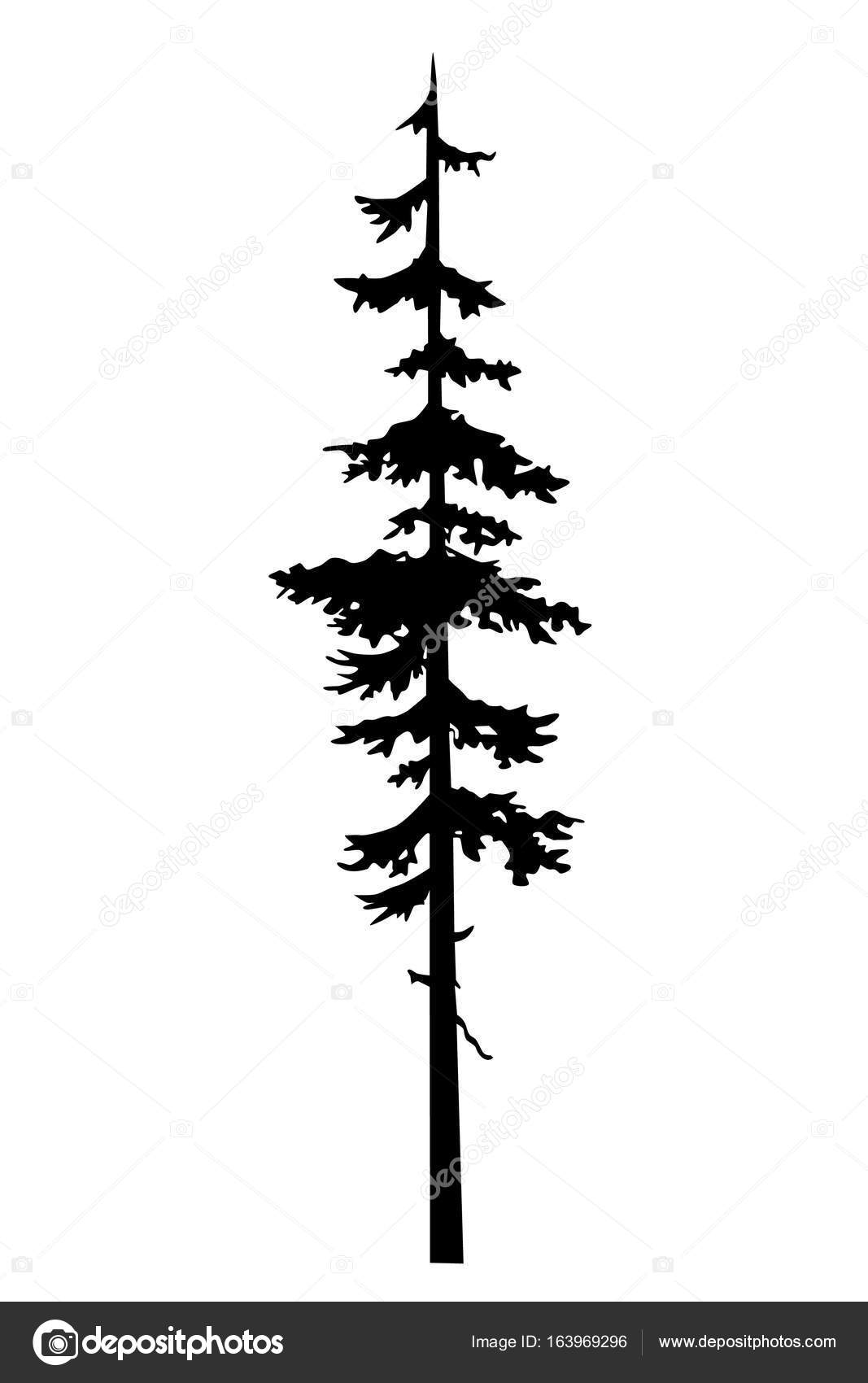 Pine Tree Silhouette Tattoo