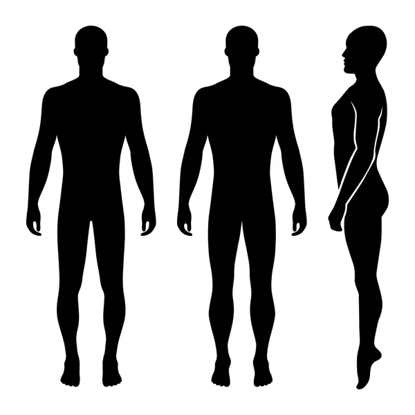 Body silhouette Stock Photos, Royalty Free Body silhouette Images ...