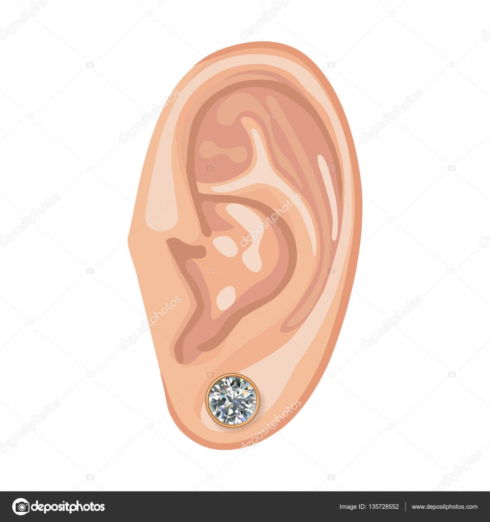 Human ear & earring Stock Vector Image by ©arlatis #135728552