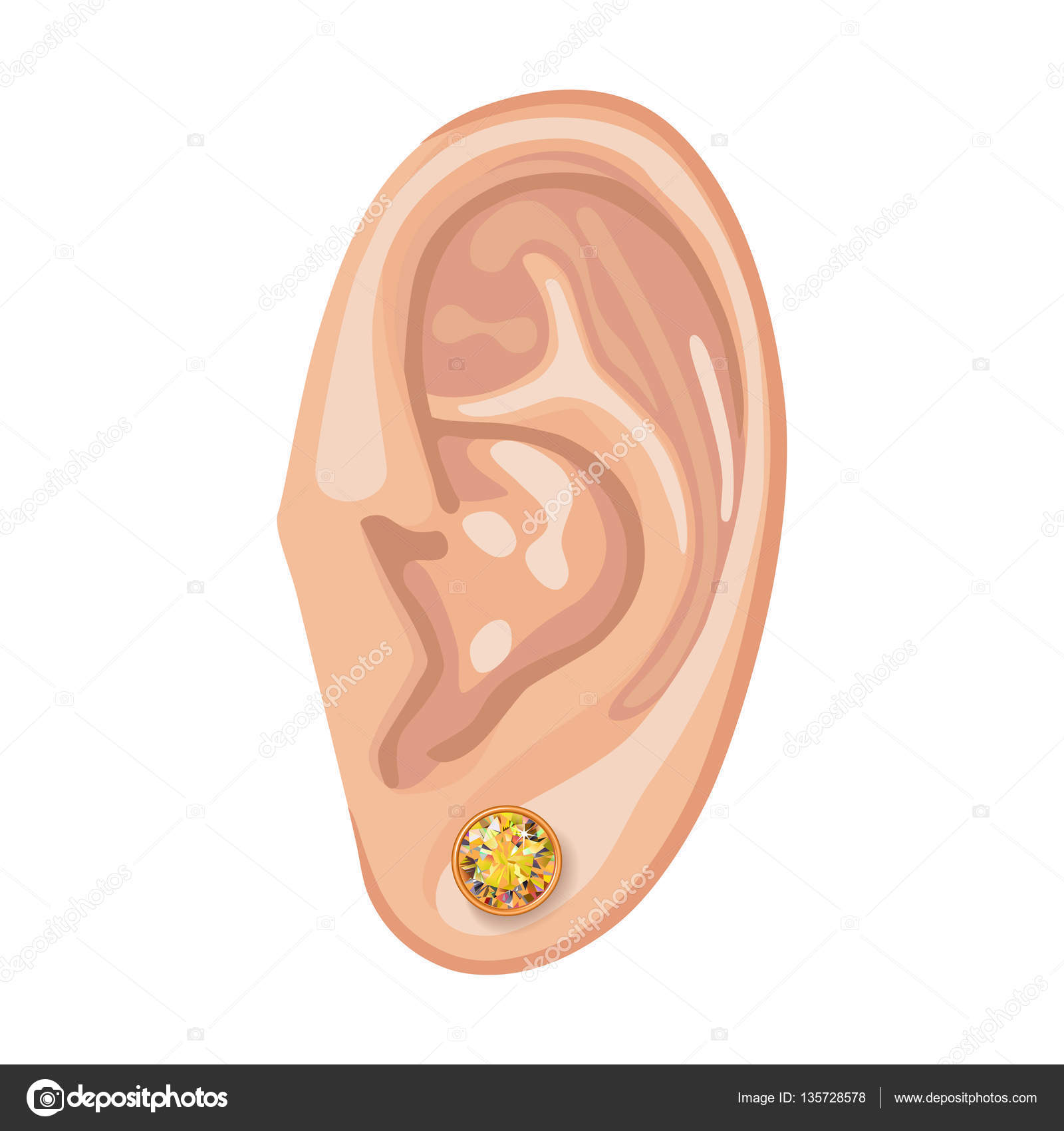Human ear & earring Stock Vector Image by ©arlatis #135728578