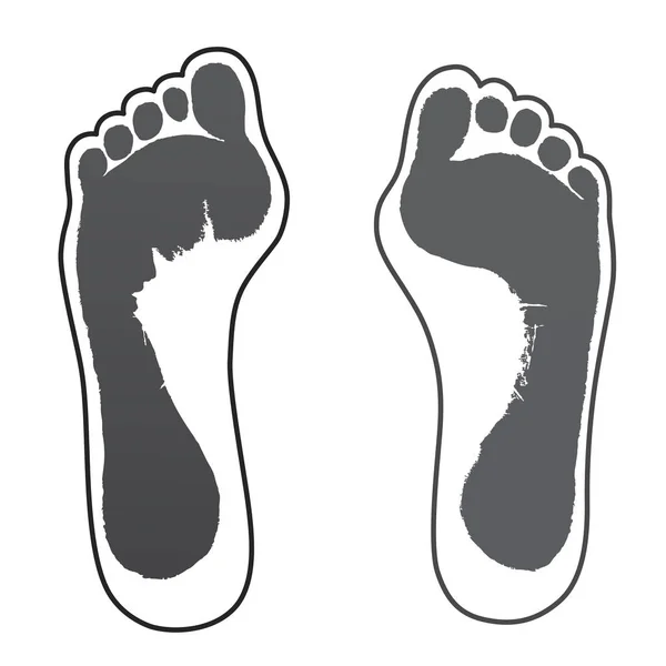 Foot. Vector drawing Stock Vector Image by ©Marinka #191393514