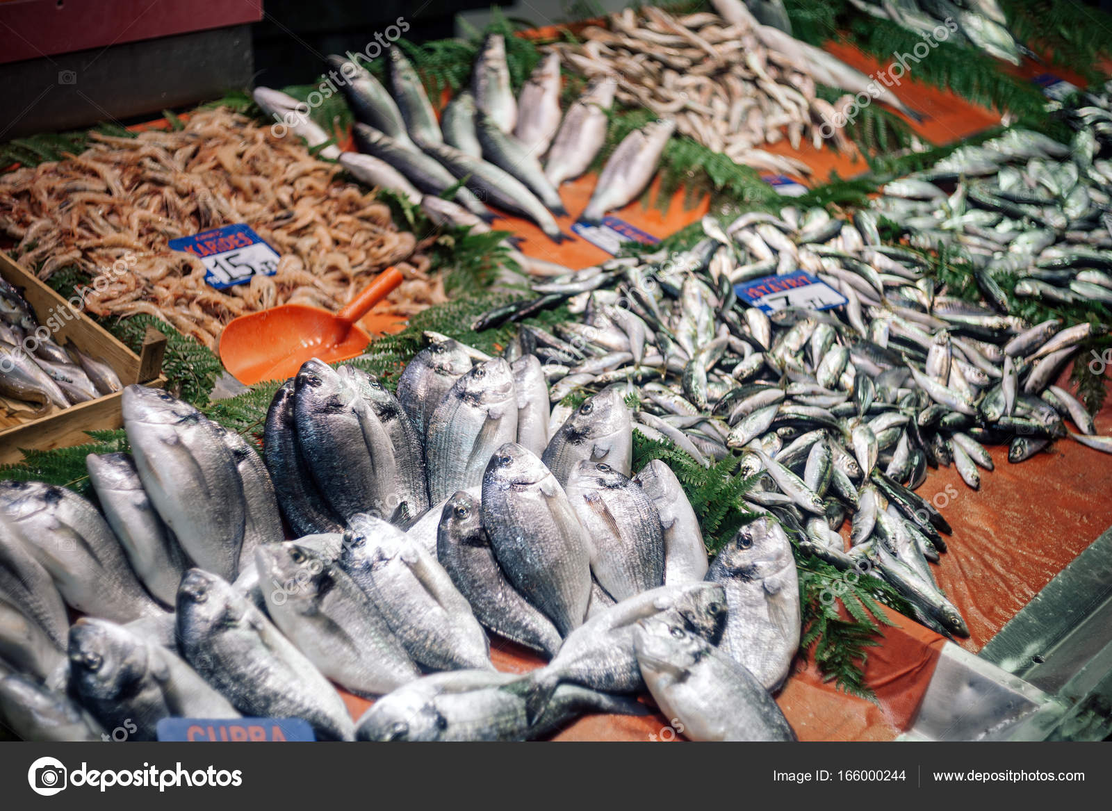 Stall of fresh fish and seafood at the turkish fish market in Istanbul ...