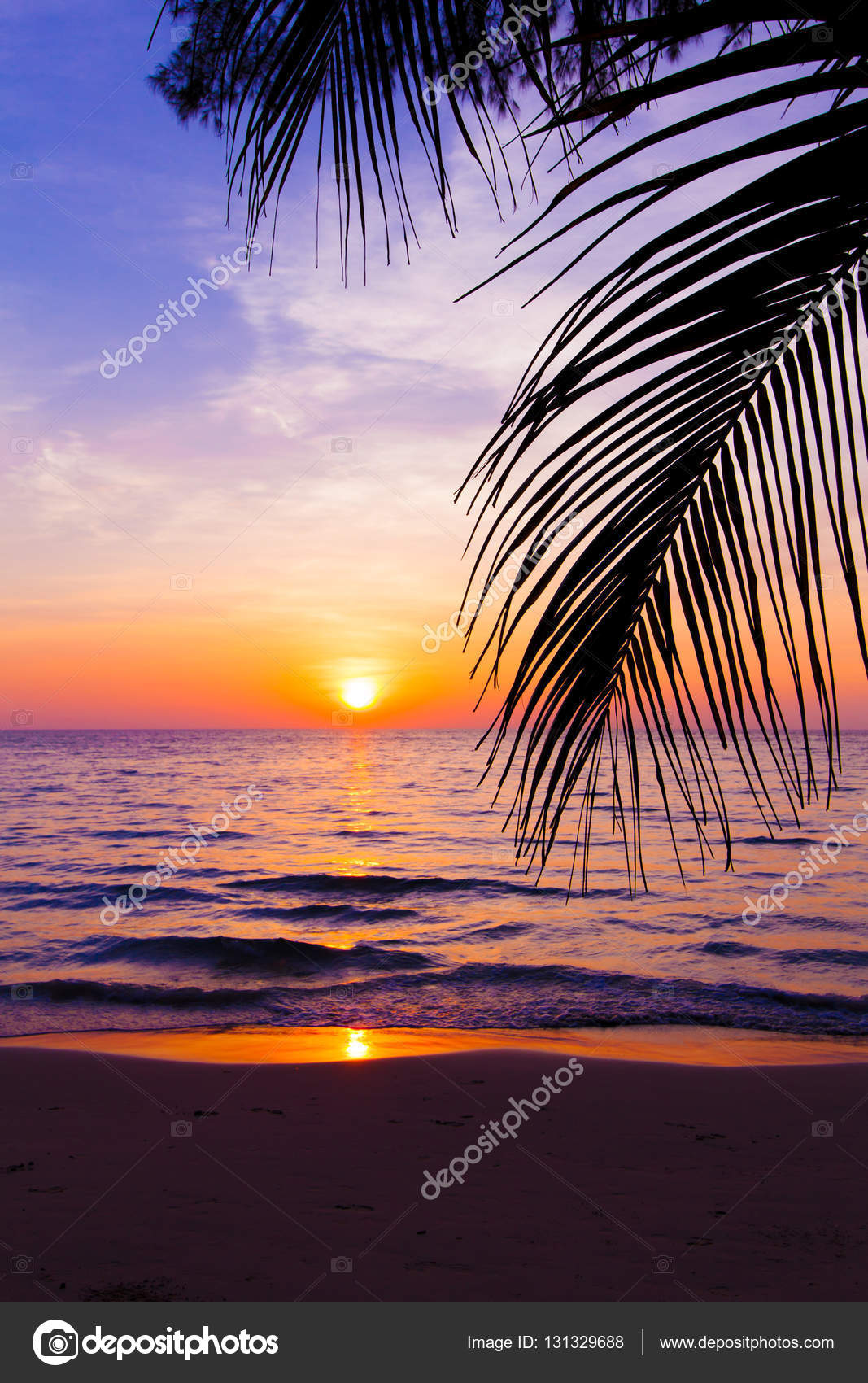 Palm Trees Beach Sunset