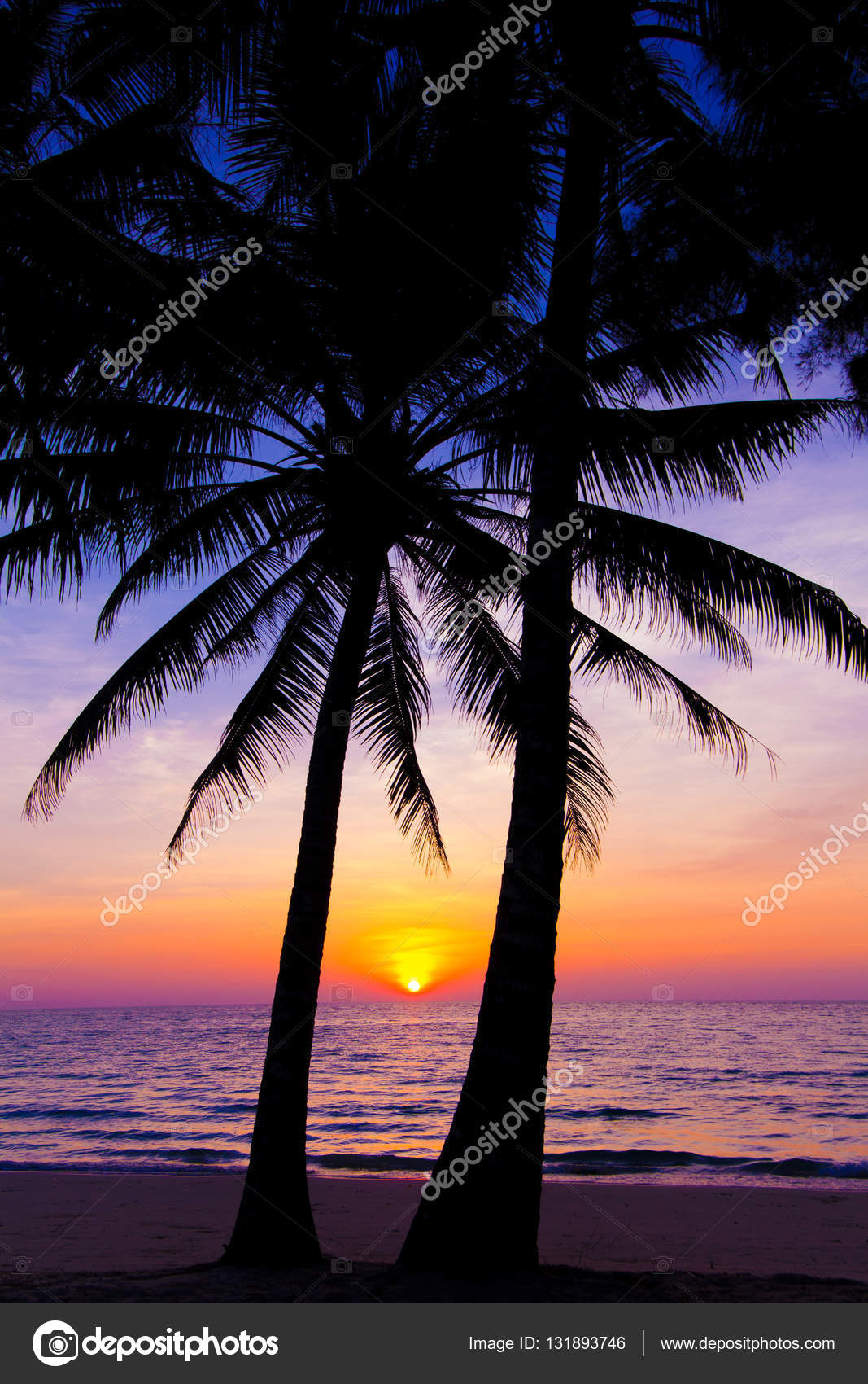 Silueta De Palmera Al Atardecer Foto De Silueta De Palmeras Durante La