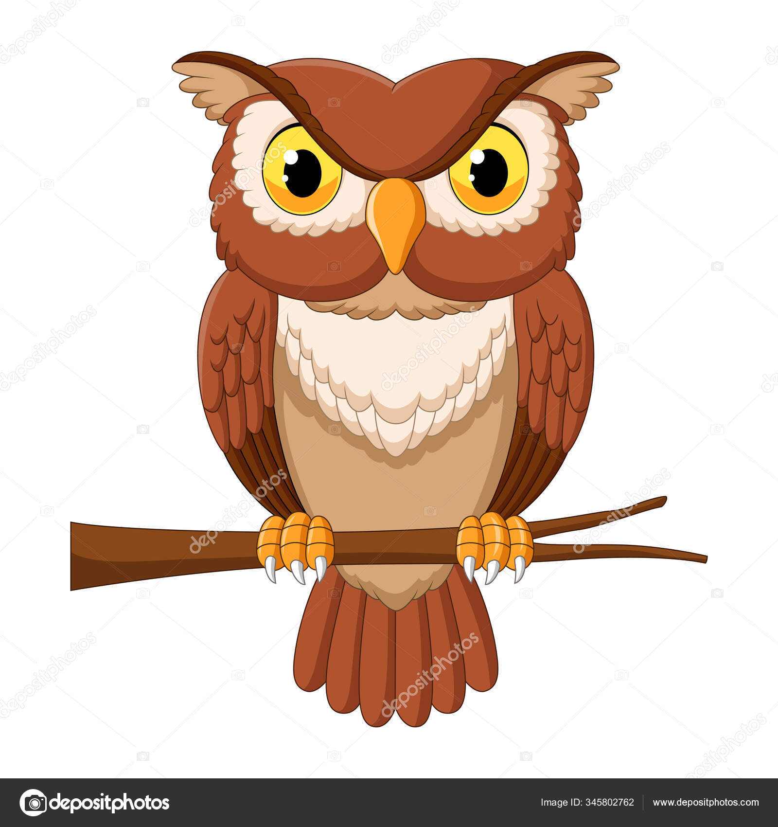 Dessin Animé De Hibou