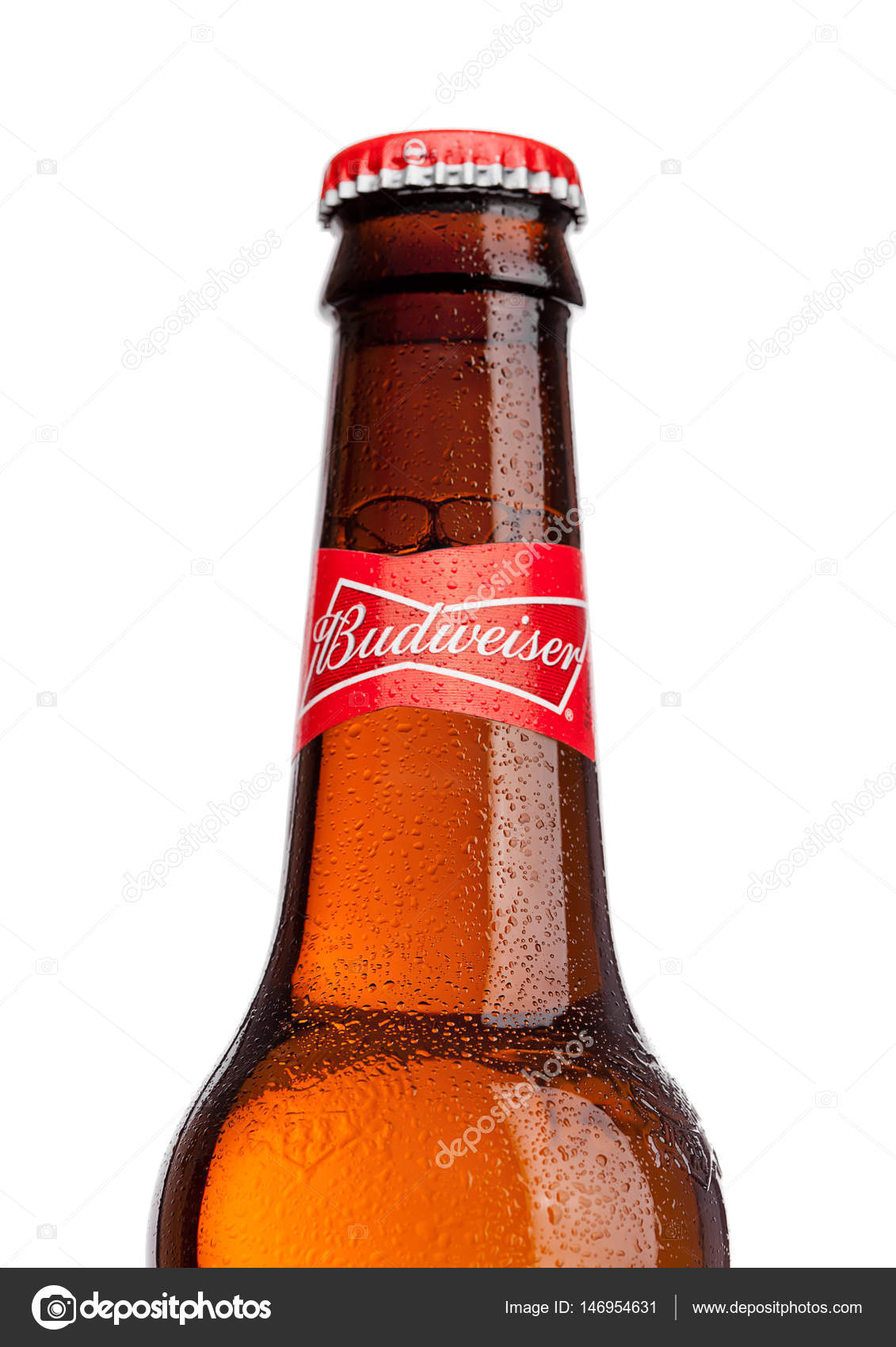 Budweiser Beer Bottle Labels
