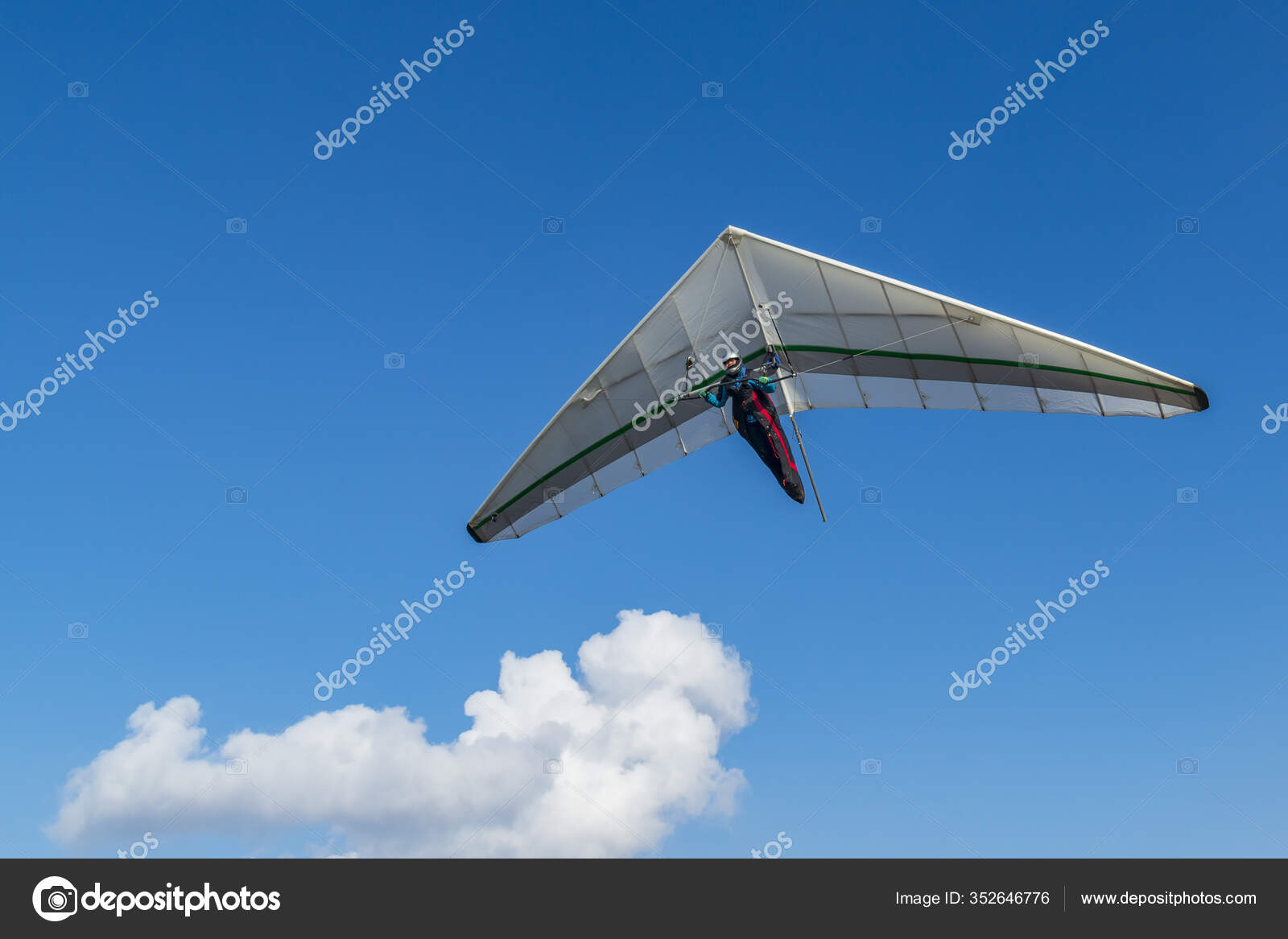 Flying Wing Hang Gliders