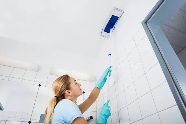 Cleaning ceiling Stock Photos, Royalty Free Cleaning ceiling Images ...