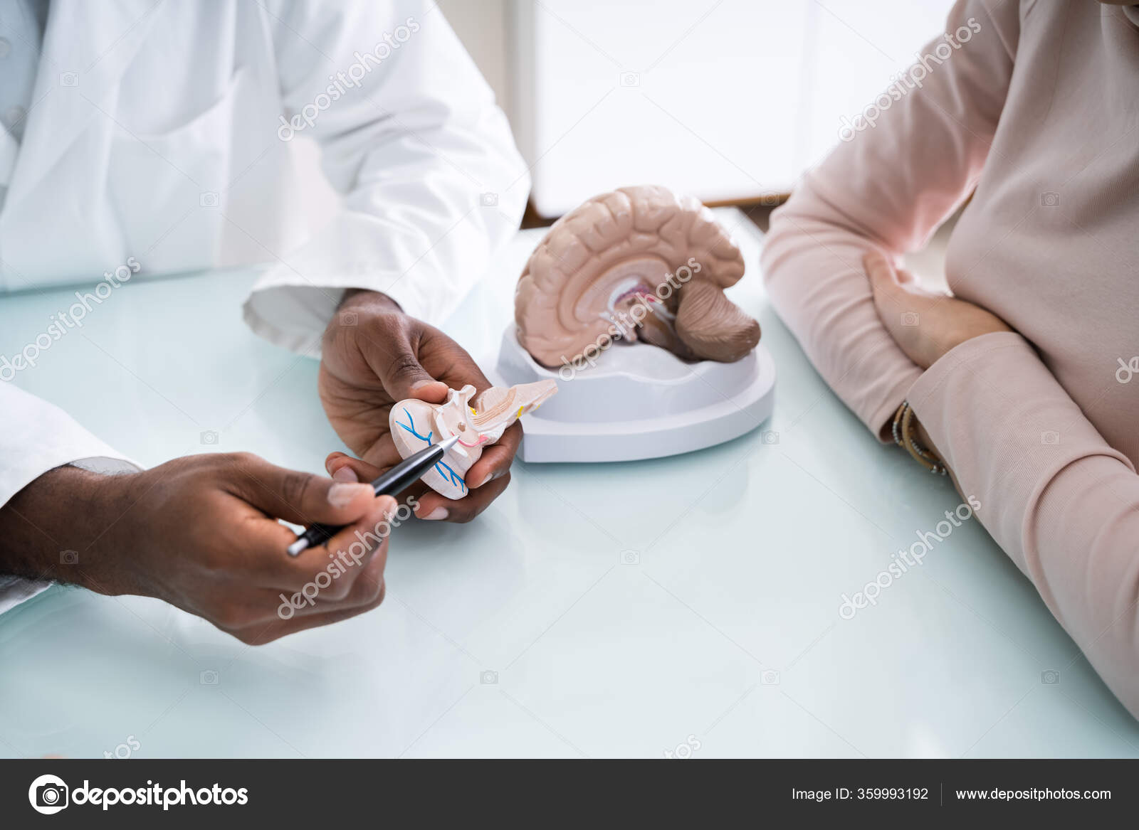 Doctor Explaining Details Human Brain Happy Woman Model Stock Photo by ...