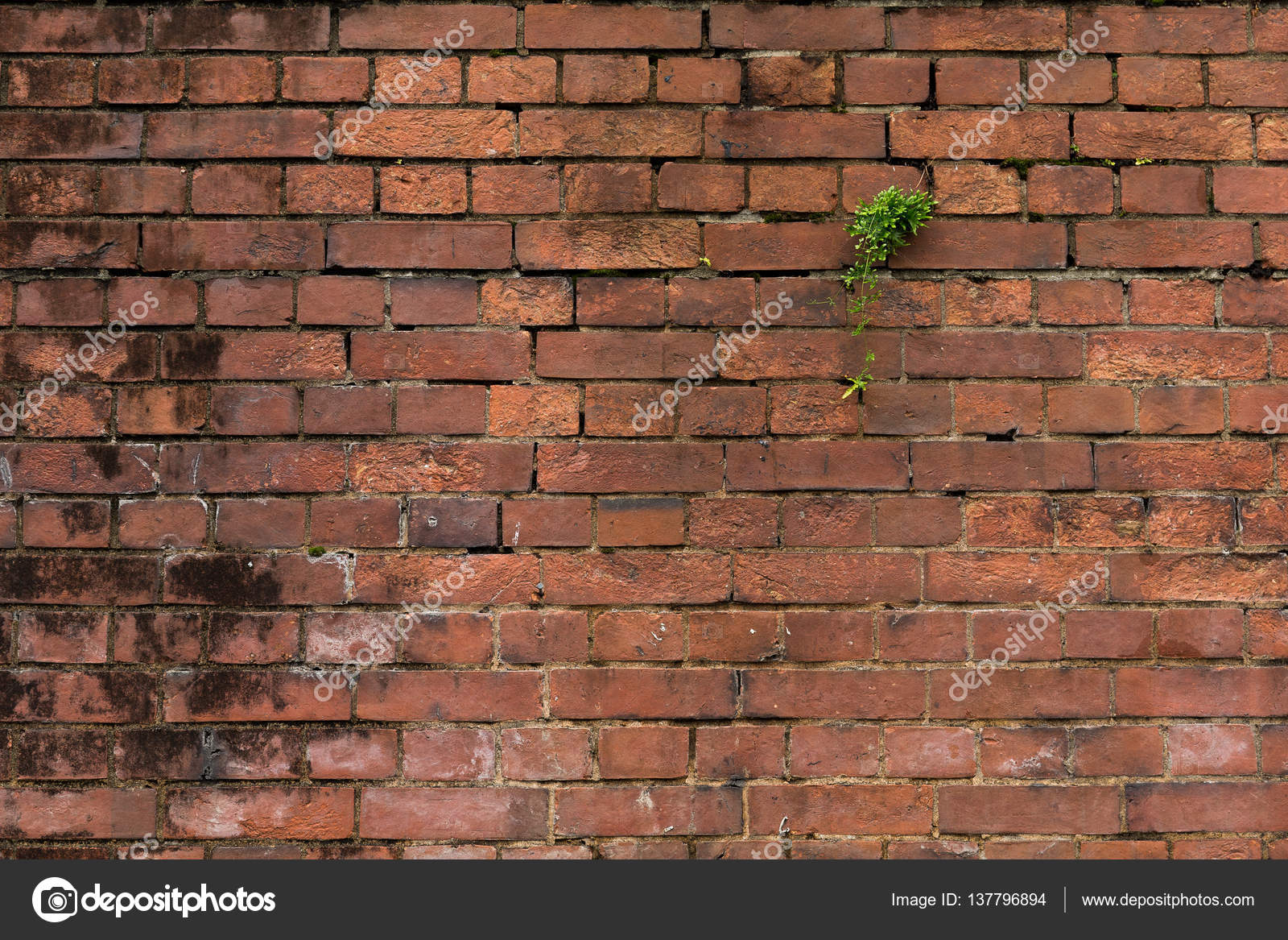Red brick wall texture Stock Photo by ©leungchopan 137796894