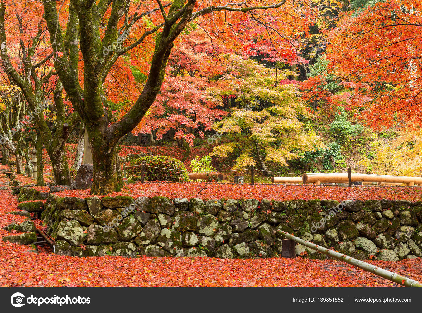 Japanese temple with maple trees Stock Photo by ©leungchopan 139851552