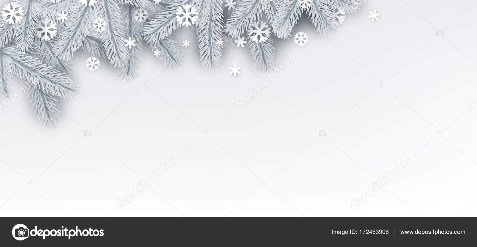White spruce branches Stock Vector by ©Maxborovkov 172463906
