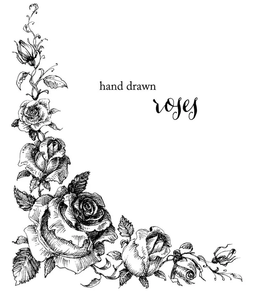 19,056,144 Roses corner Vector Images | Depositphotos