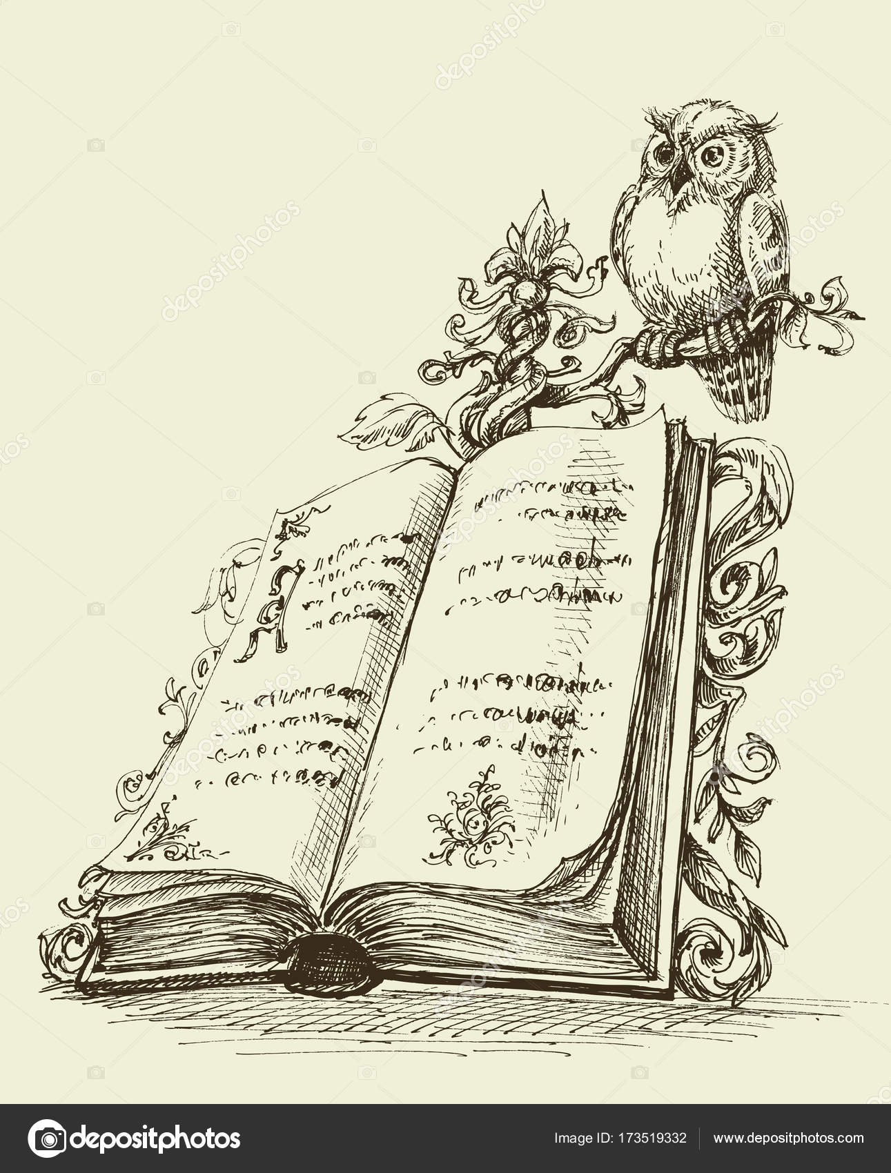 Open book vintage stand and cute owl symbol of wisdom Stock Vector ...