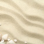 Sea shells with sand as background Stock Photo by ©smaglov 7676864