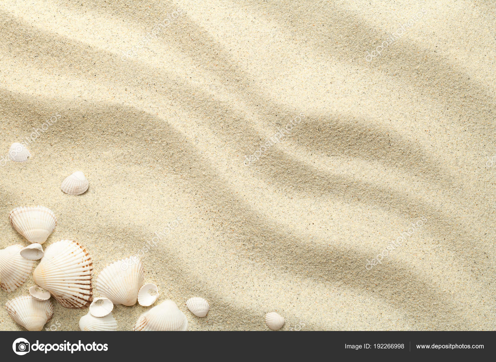 Sand Background with Shells Stock Photo by ©threeart 192266998