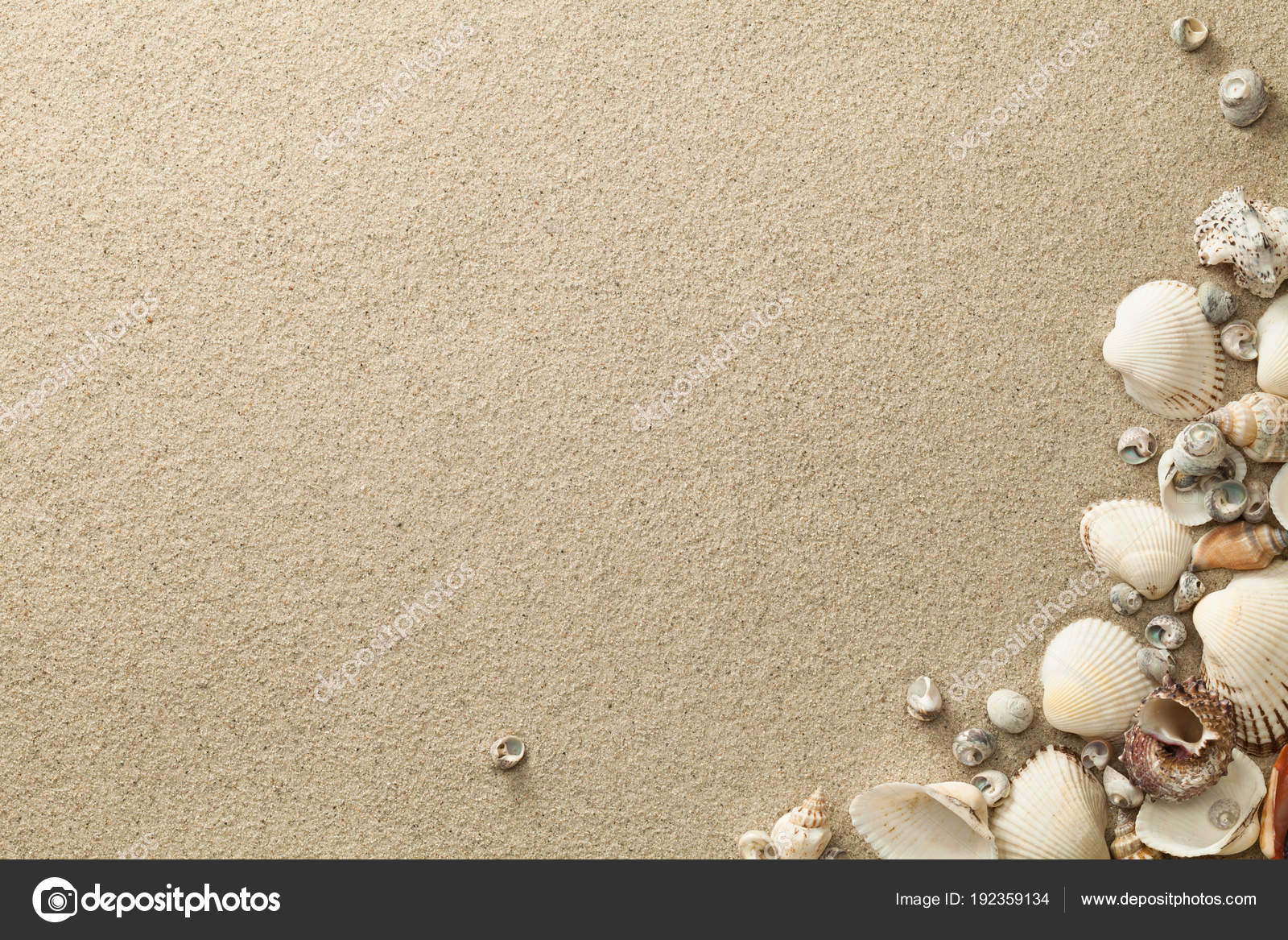 Sandy Beach Background with Shells Stock Photo by ©threeart 192359134