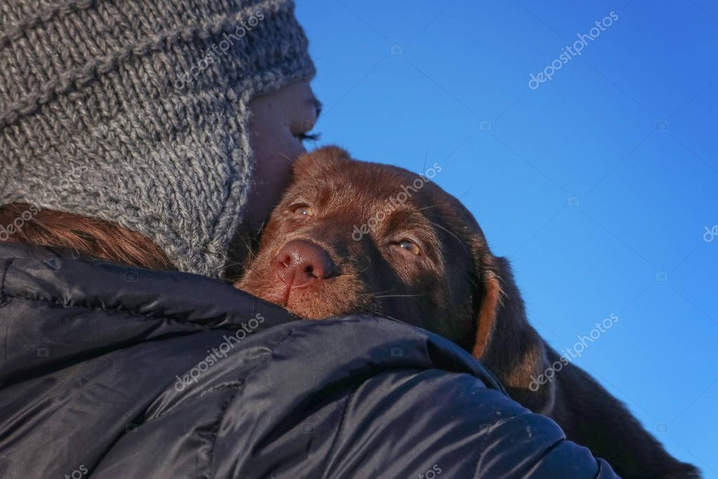 un cachorro de laboratorio de chocolate y su dueño abrazándose en un ...