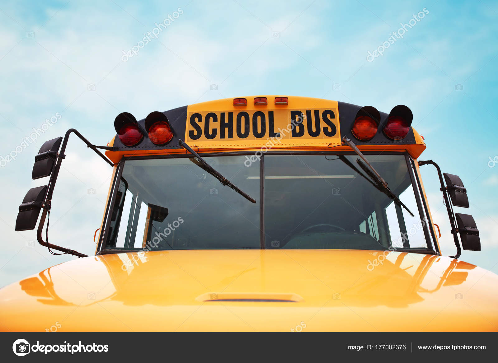 School Bus Front View