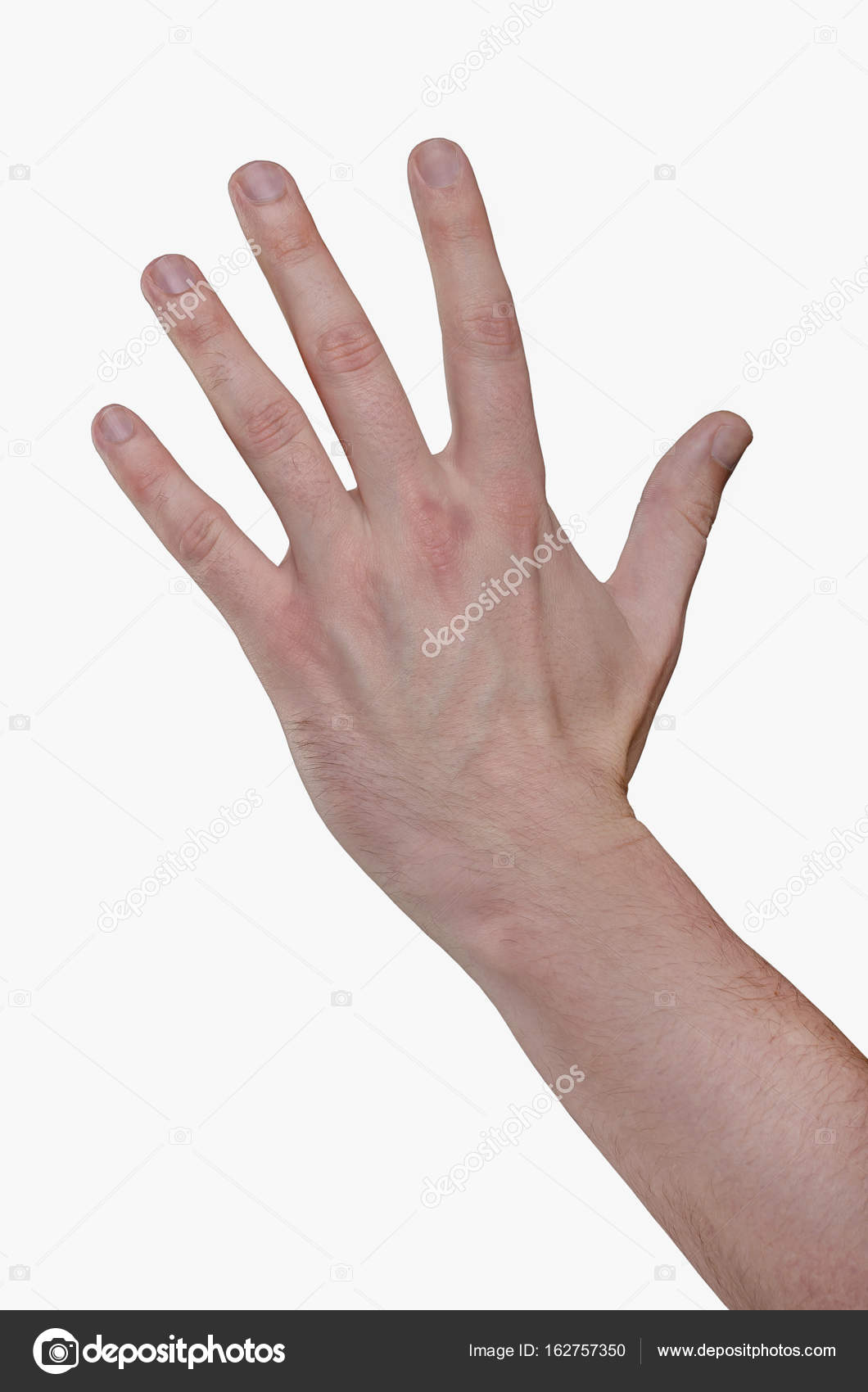 Man hand. Five fingers, unfolded palm Stock Photo by ©Dudaeva 162757350