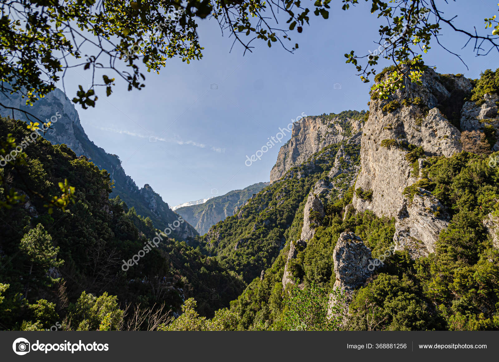 View From Cliffs Mountains Forest