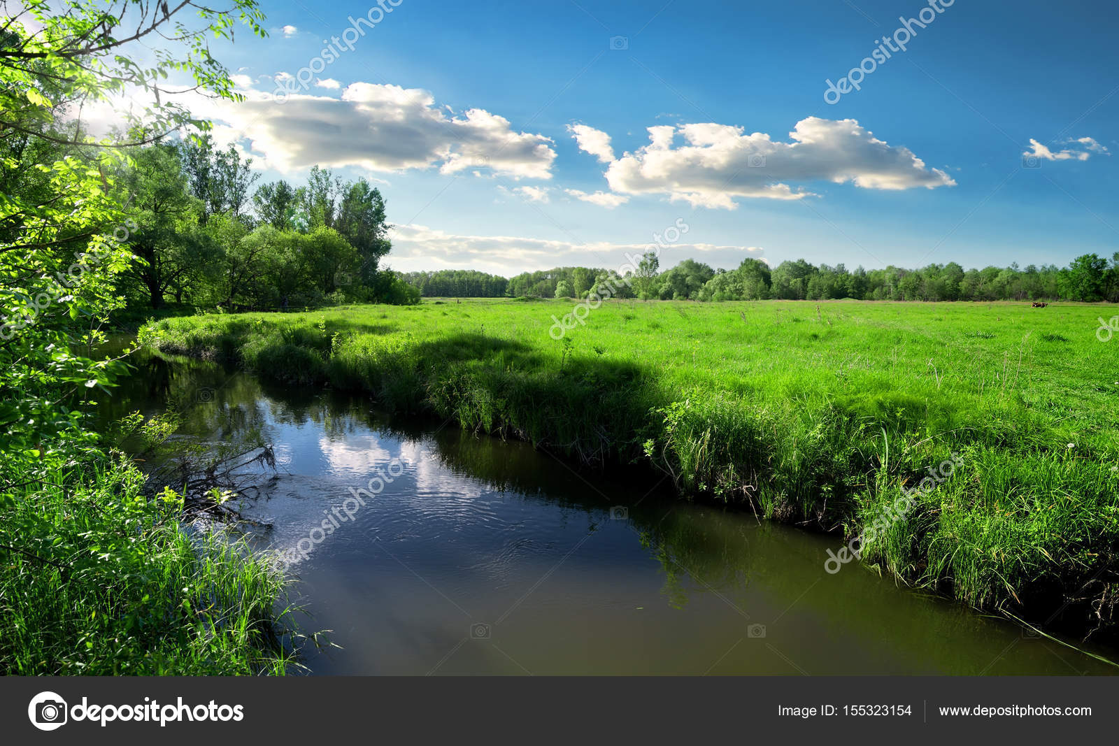 River and field — Stock Photo © Givaga #155323154