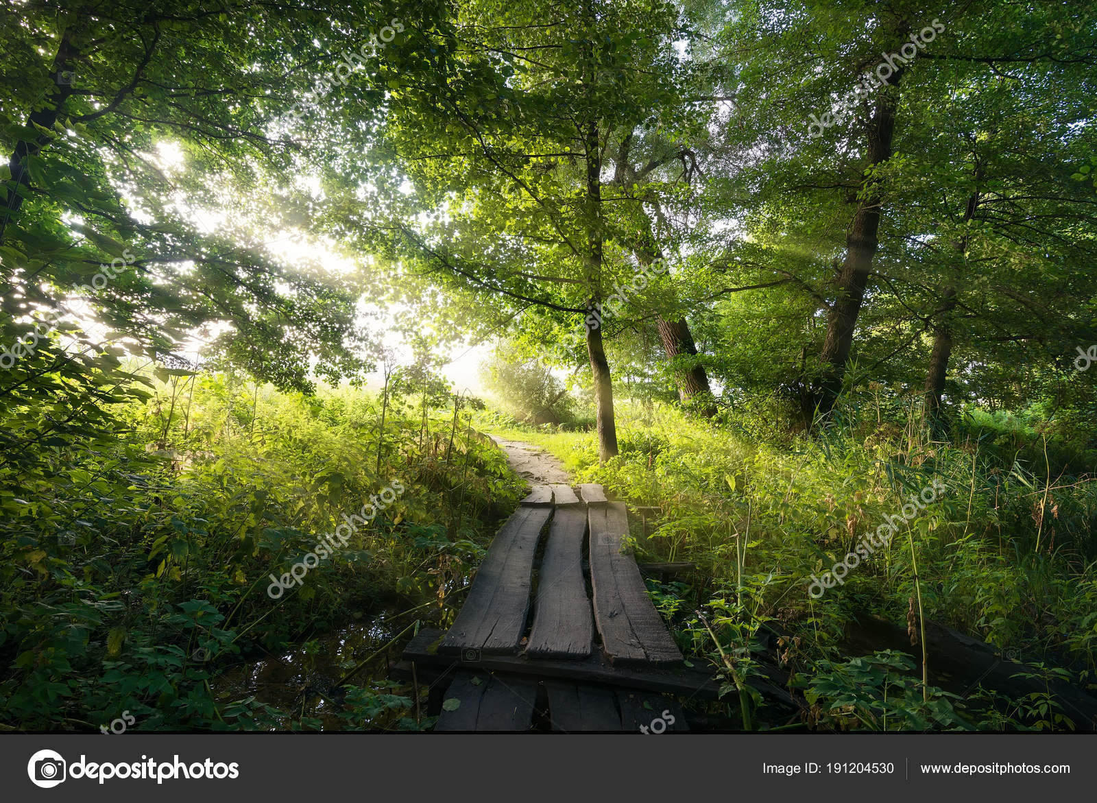 Old bridge in forest — Stock Photo © Givaga #191204530