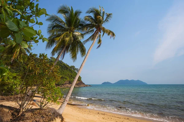 Koh lone island Stock Photos, Royalty Free Koh lone island Images ...