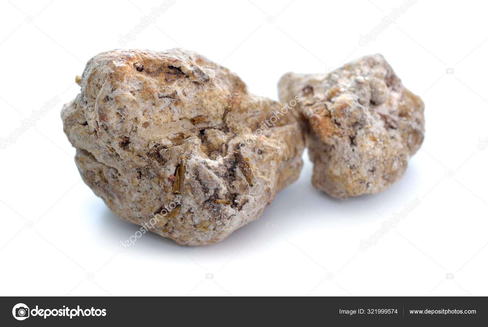 Ambergris, ambre gris, ambergrease or grey amber. Isolated on white ...