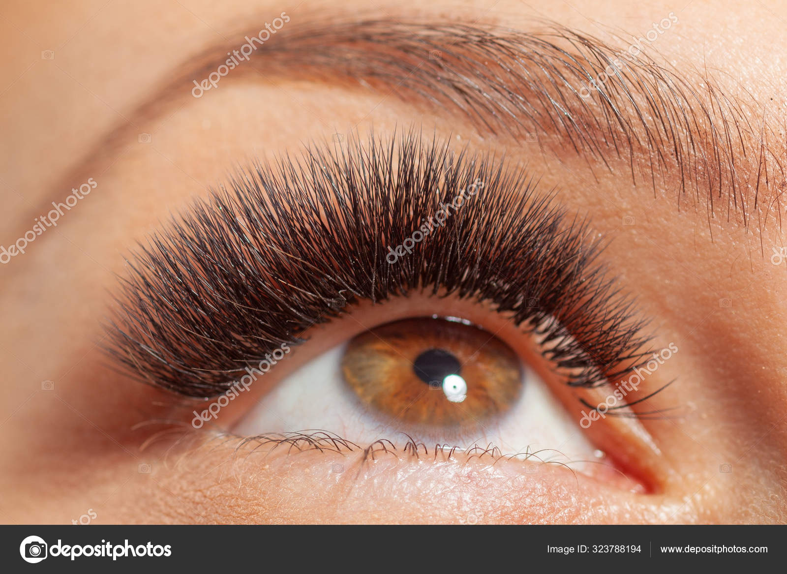 Woman Open Eye with Long Lashes. Eyelash Extension. Beautiful La Stock ...