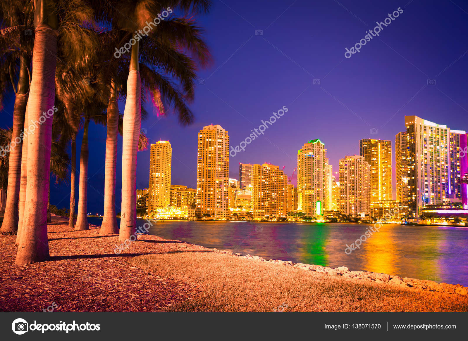 Miami Skyline Palm Trees