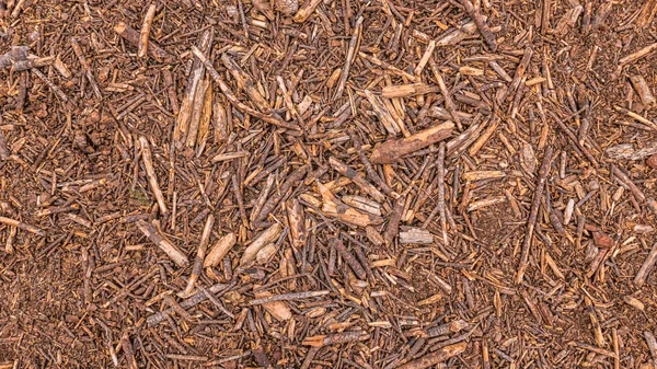 Lawn mulch Stock Photos, Royalty Free Lawn mulch Images | Depositphotos