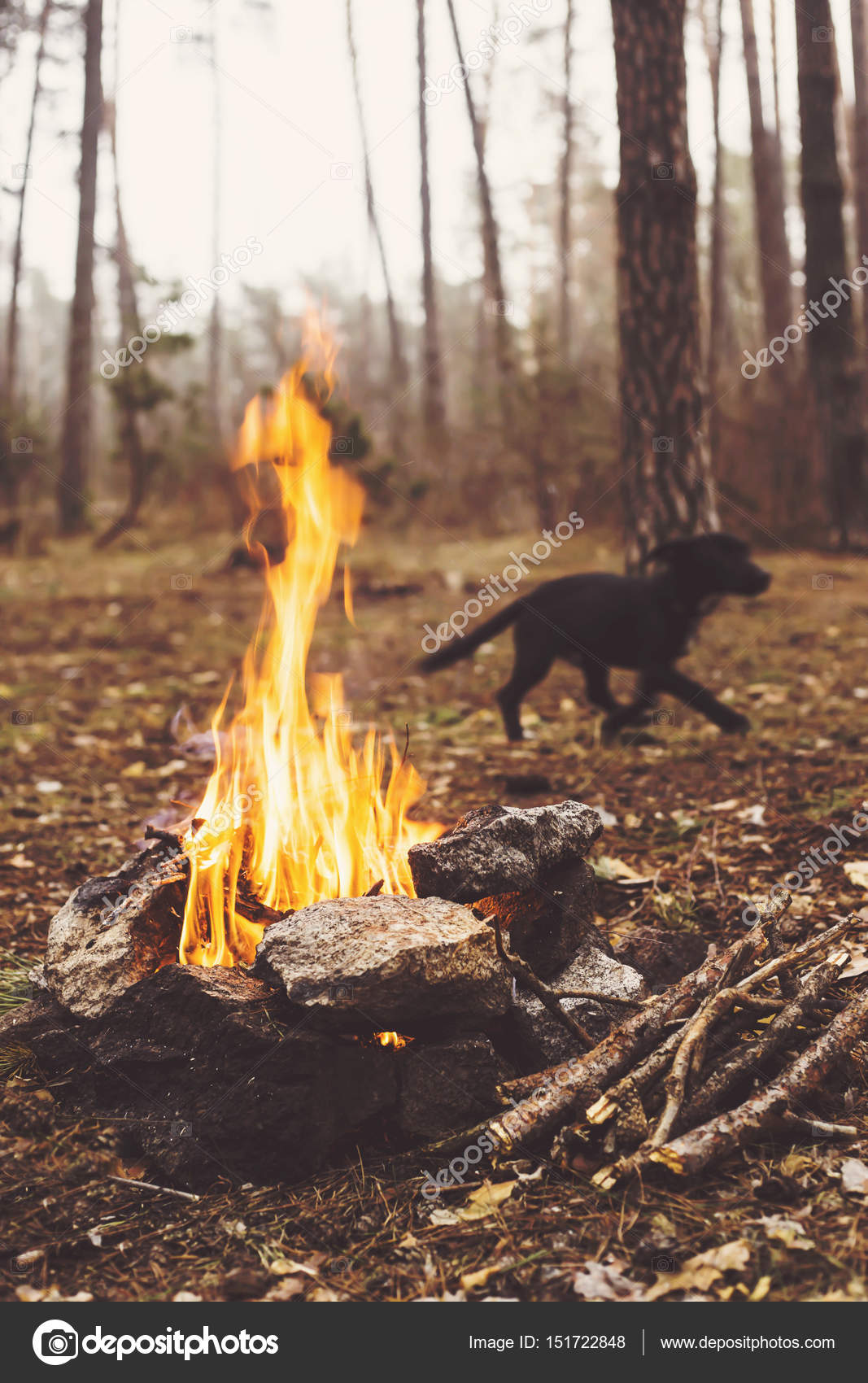 Campfire in the forest. man's hands Stock Photo by ©Vsamarkina 151722848