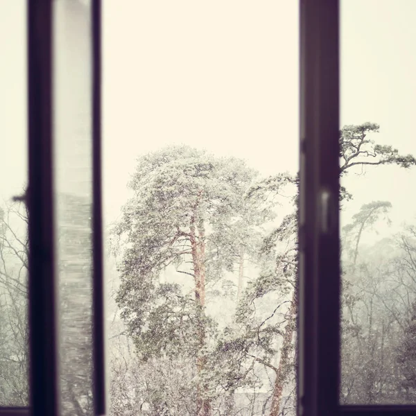 Snowy window view Stock Photos, Royalty Free Snowy window view Images ...