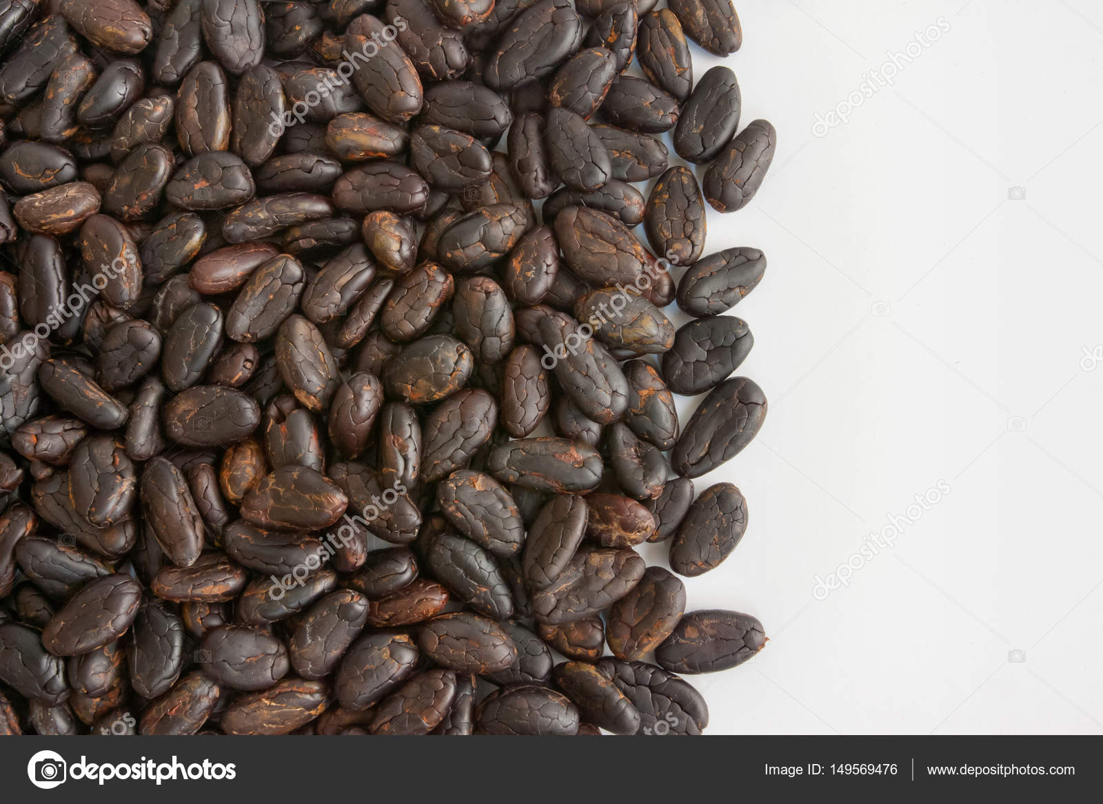 Cocoa beans from Madagascar isolated on white background — Stock Photo ...