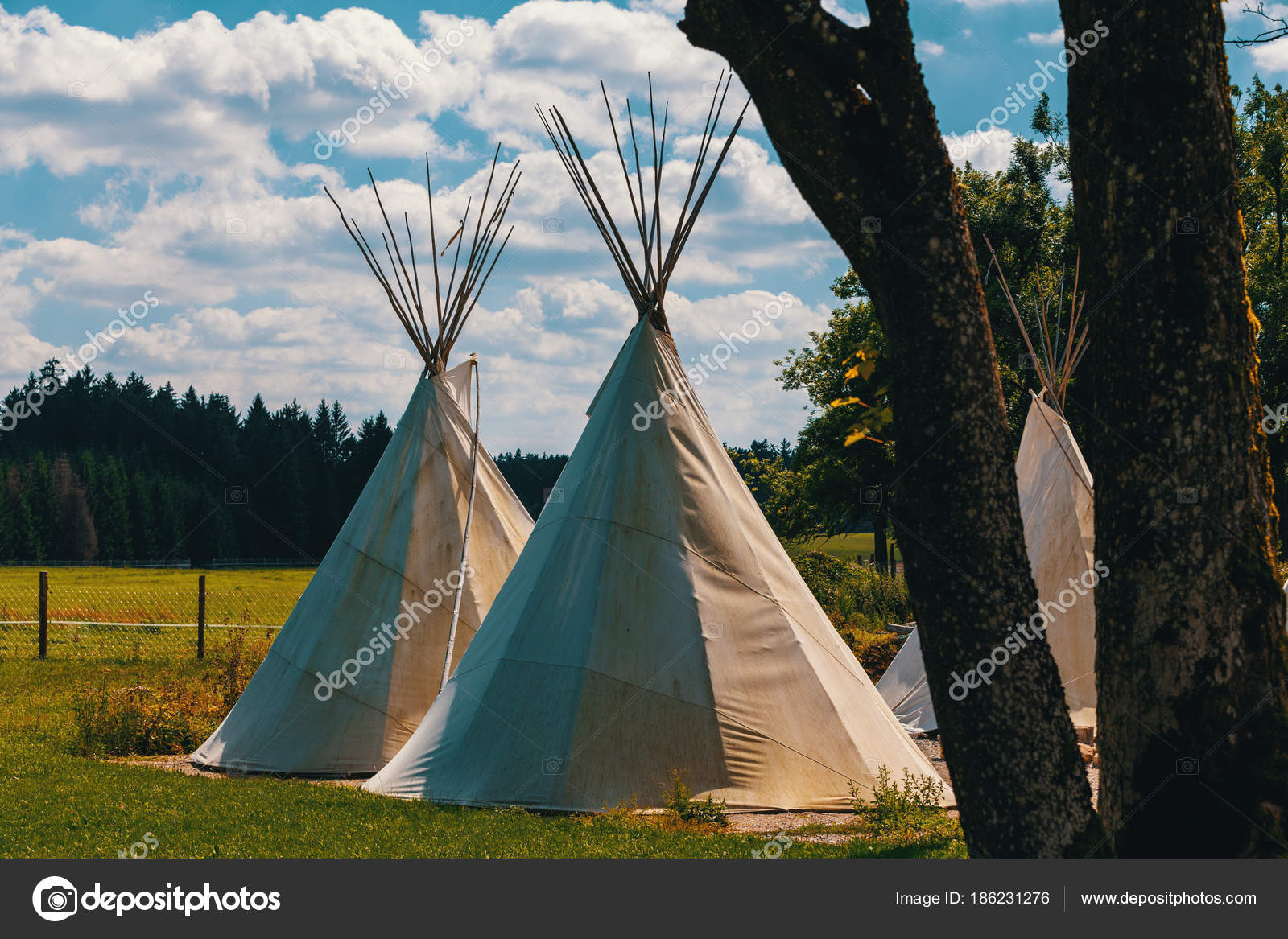 Teepee conical tent made from animal skins Stock Photo by ©artush 186231276