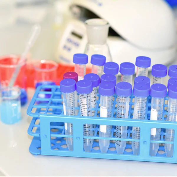 Rack Many Falcone Tubes Containig Solutions Biophysical Research Stock ...