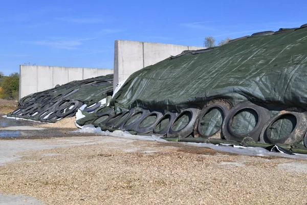Ensilage images libres de droit, photos de Ensilage | Depositphotos