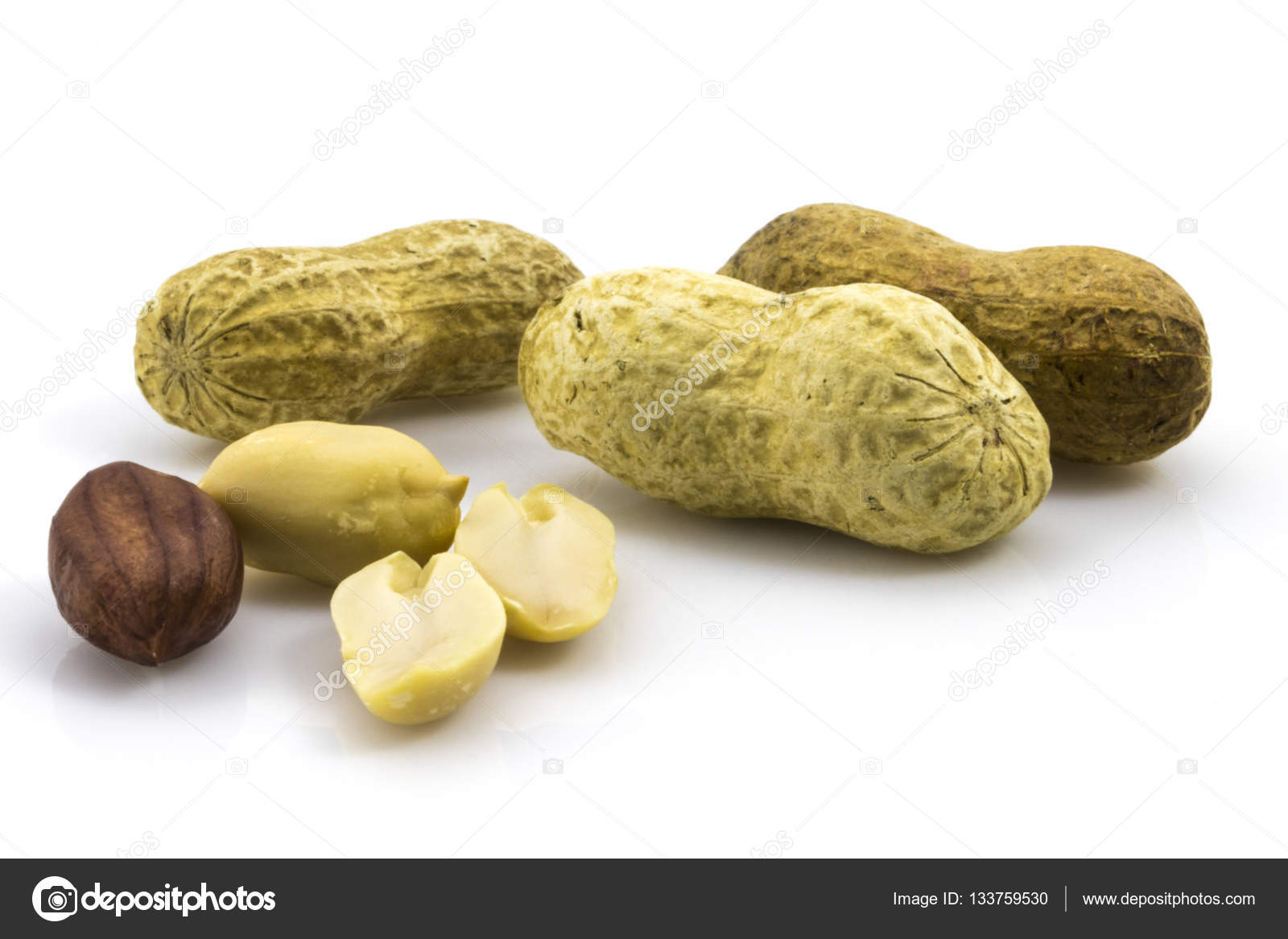 Single Groundnut