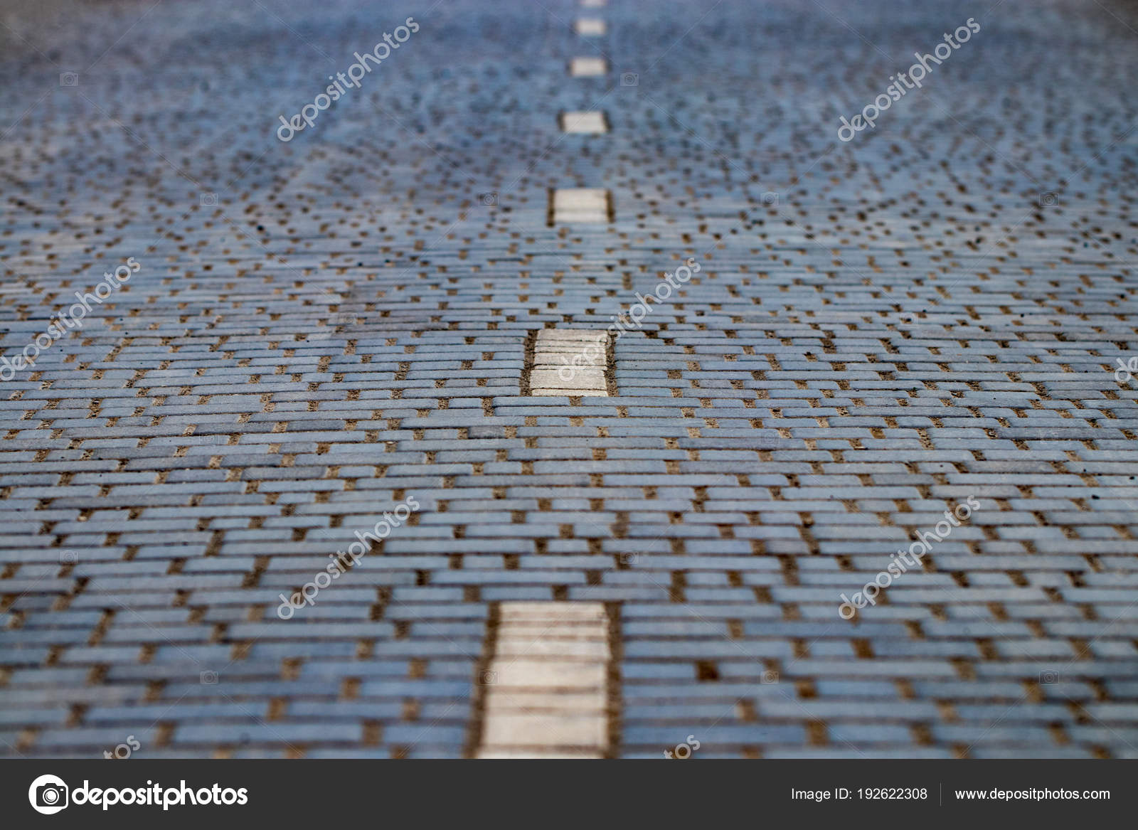 Interlocking paving with gray and white concrete blocks; Concret Stock Photo by ©alex_skp 192622308